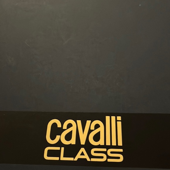 Roberto Cavalli | Shoes | Cavalli Class Size 46 | Poshmark